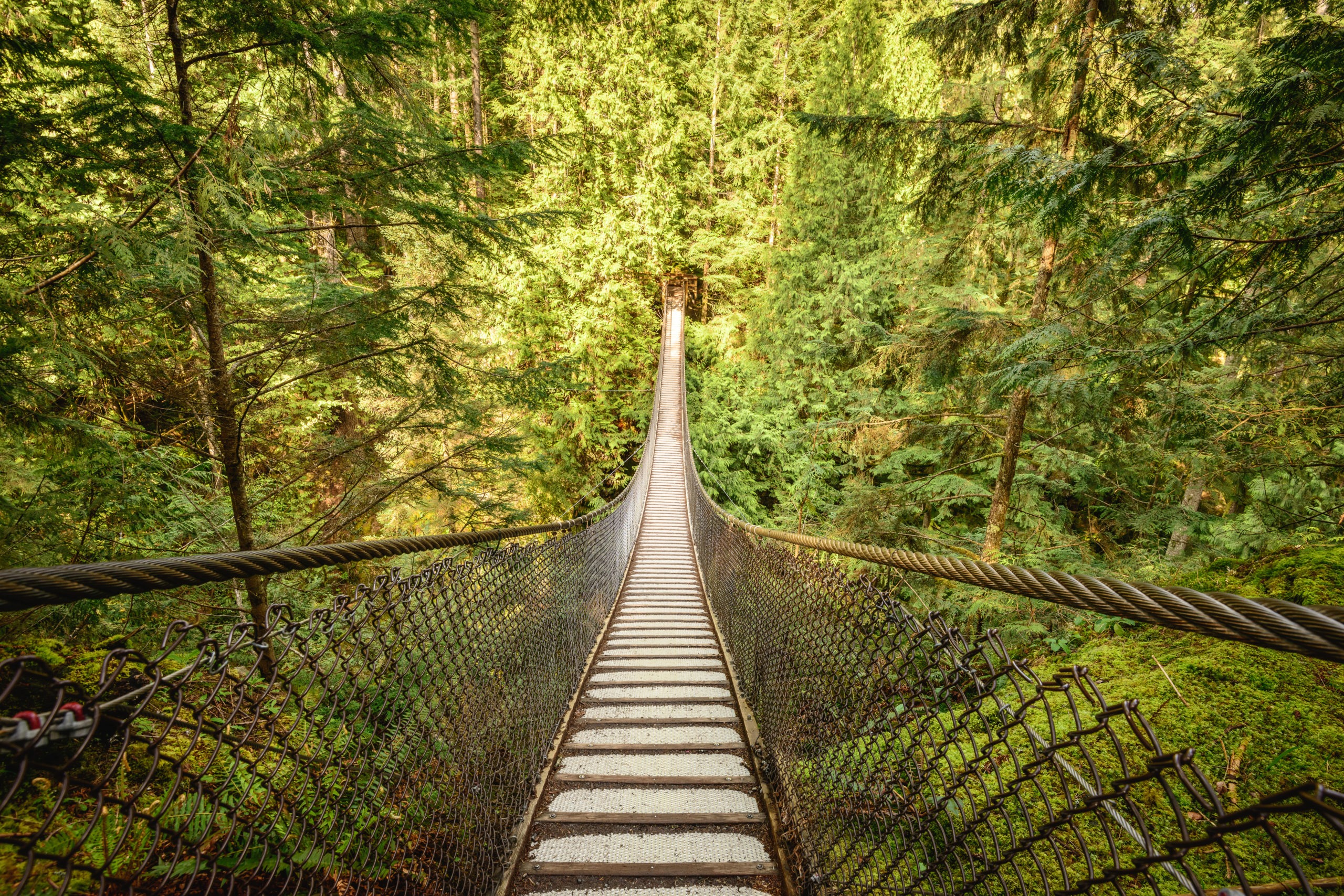 Liminal Space is Icky but Transformational - The Free Methodist Church ...